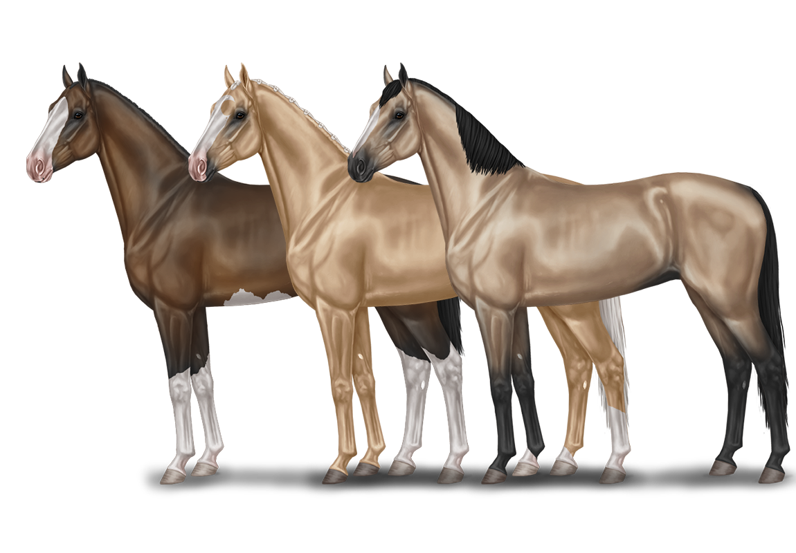 NOBLE HORSE CHAMPION