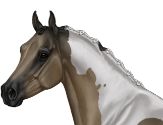 NOBLE HORSE CHAMPION