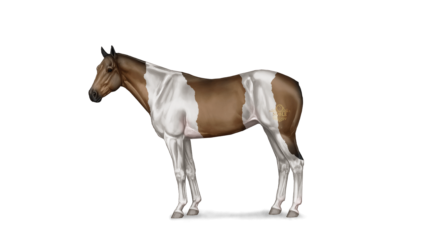 NOBLE HORSE CHAMPION