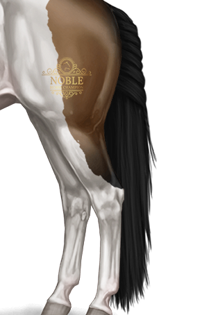 NOBLE HORSE CHAMPION