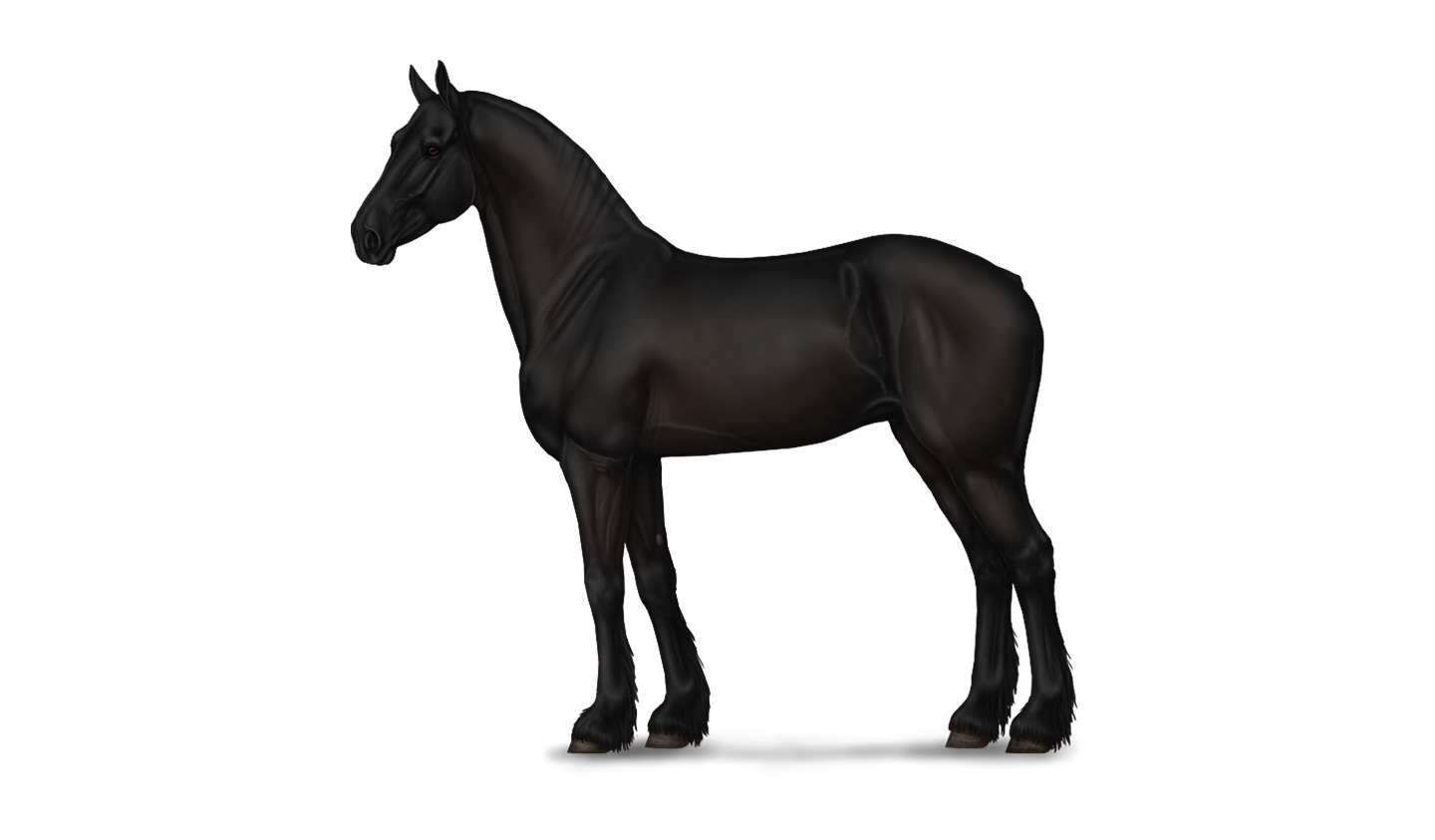 NOBLE HORSE CHAMPION