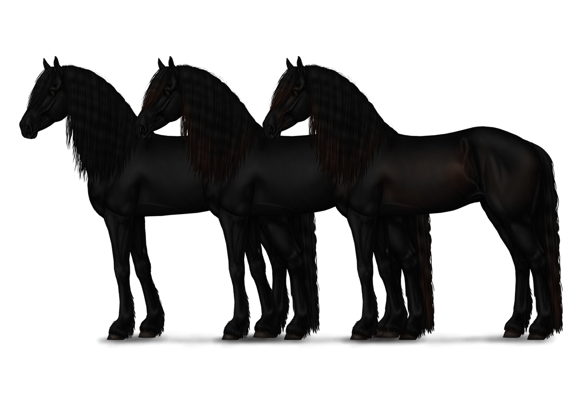 NOBLE HORSE CHAMPION