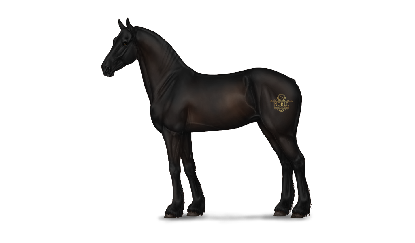 NOBLE HORSE CHAMPION