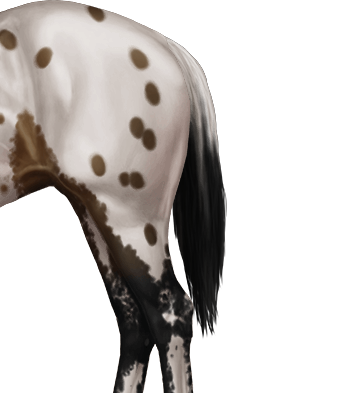 NOBLE HORSE CHAMPION