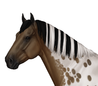 NOBLE HORSE CHAMPION
