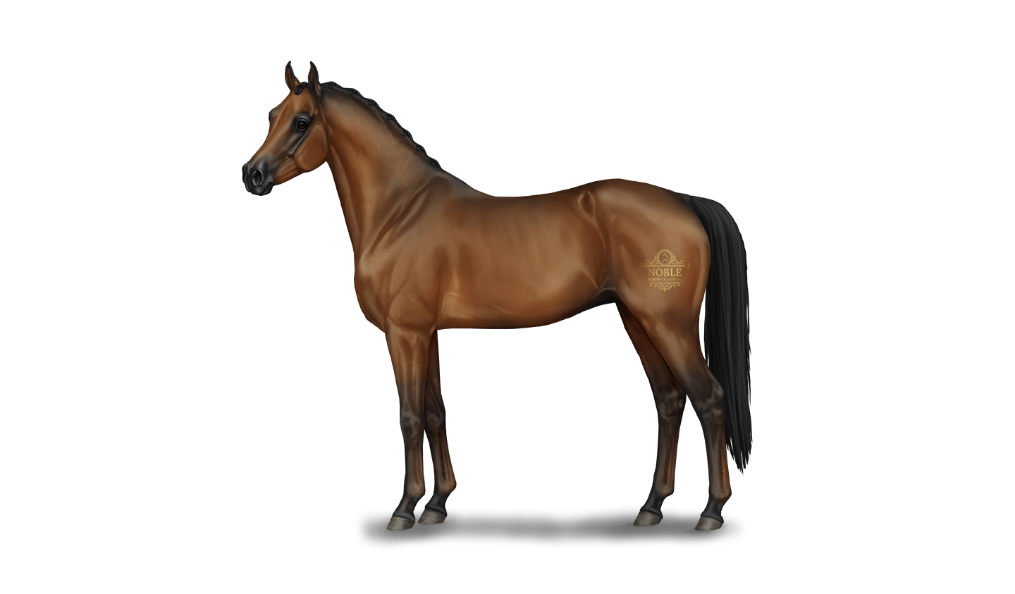 NOBLE HORSE CHAMPION