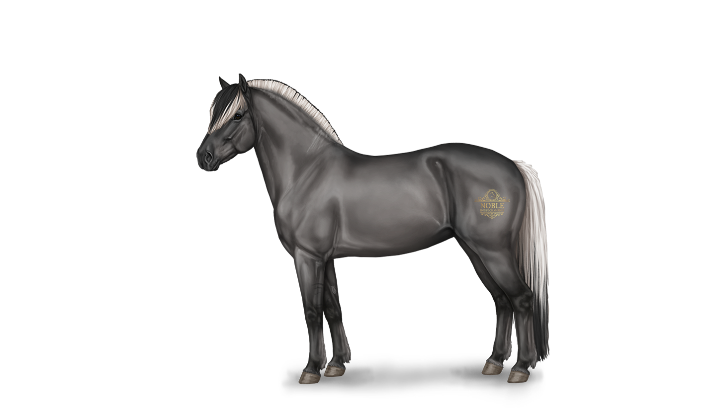 NOBLE HORSE CHAMPION