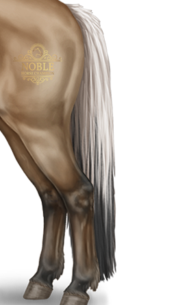 NOBLE HORSE CHAMPION