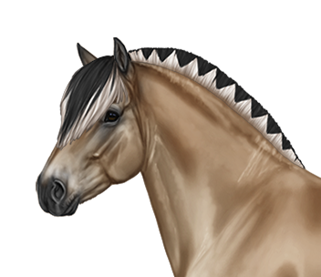 NOBLE HORSE CHAMPION