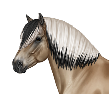 NOBLE HORSE CHAMPION