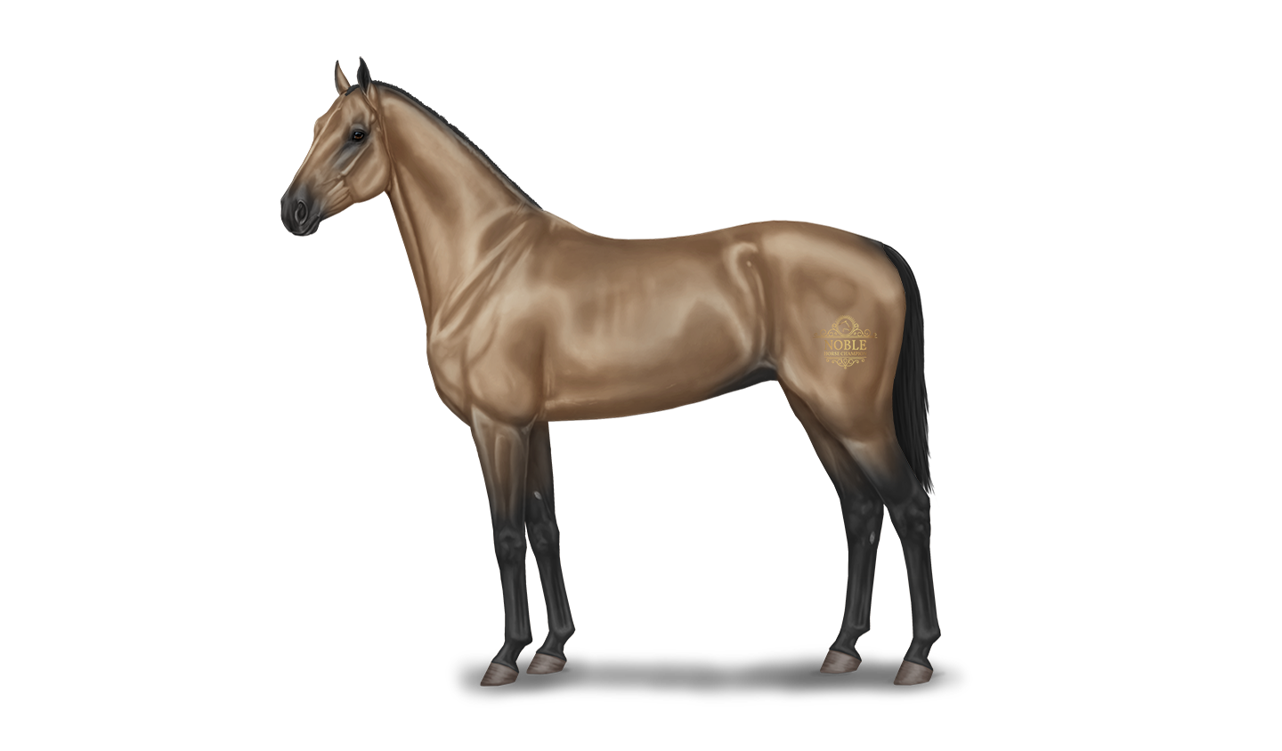 NOBLE HORSE CHAMPION