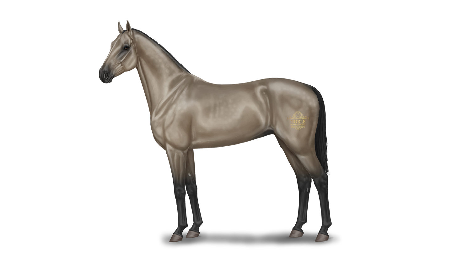 NOBLE HORSE CHAMPION