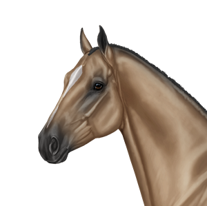 NOBLE HORSE CHAMPION