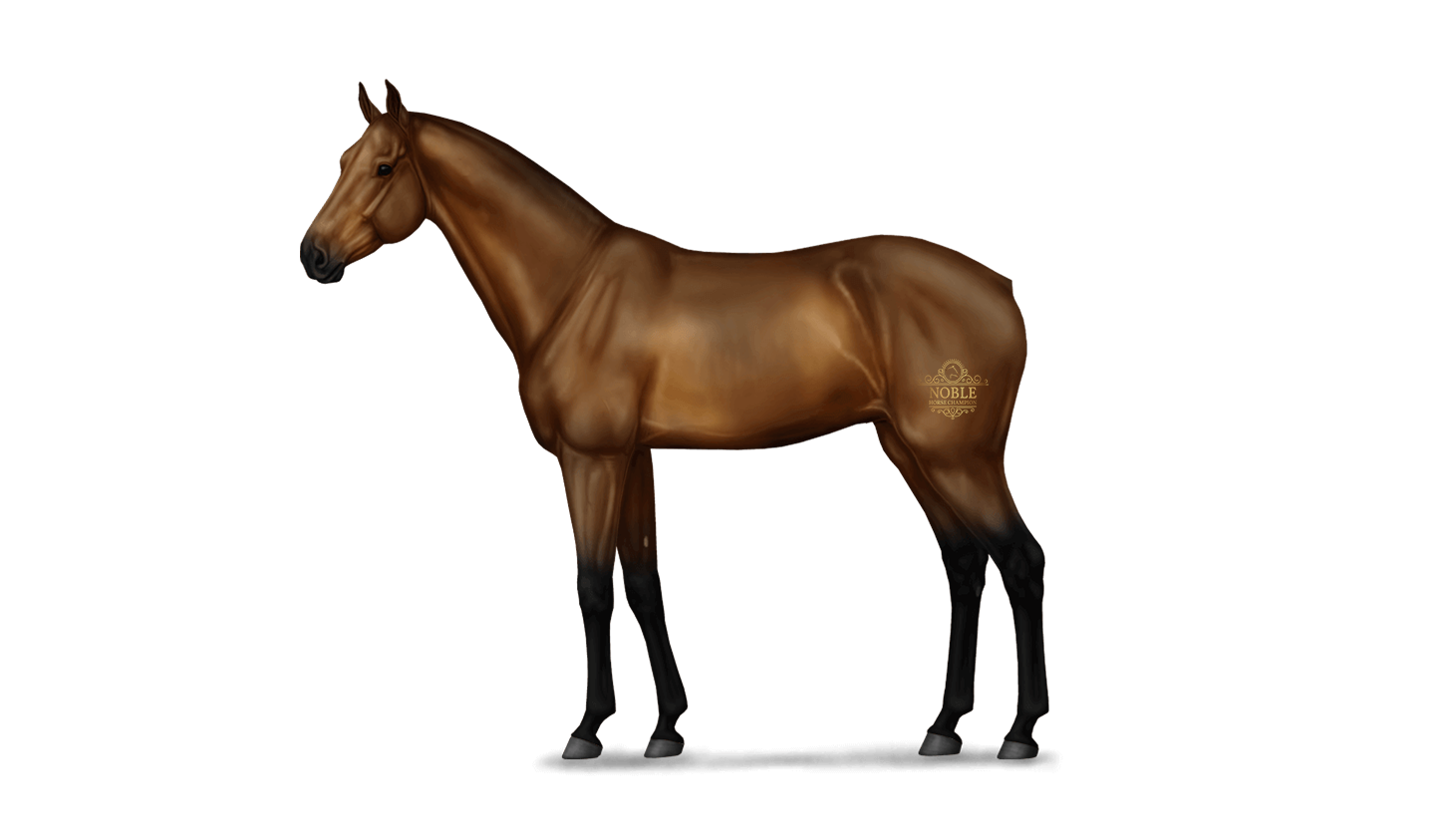 Sorrel Holsteiner German Horse Will Warmbloods Take Over Eventing?