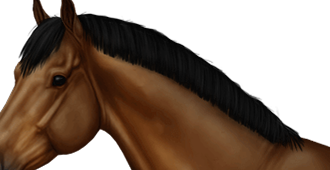 NOBLE HORSE CHAMPION