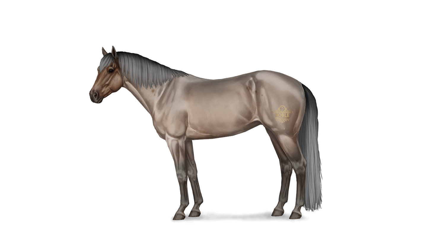 NOBLE HORSE CHAMPION