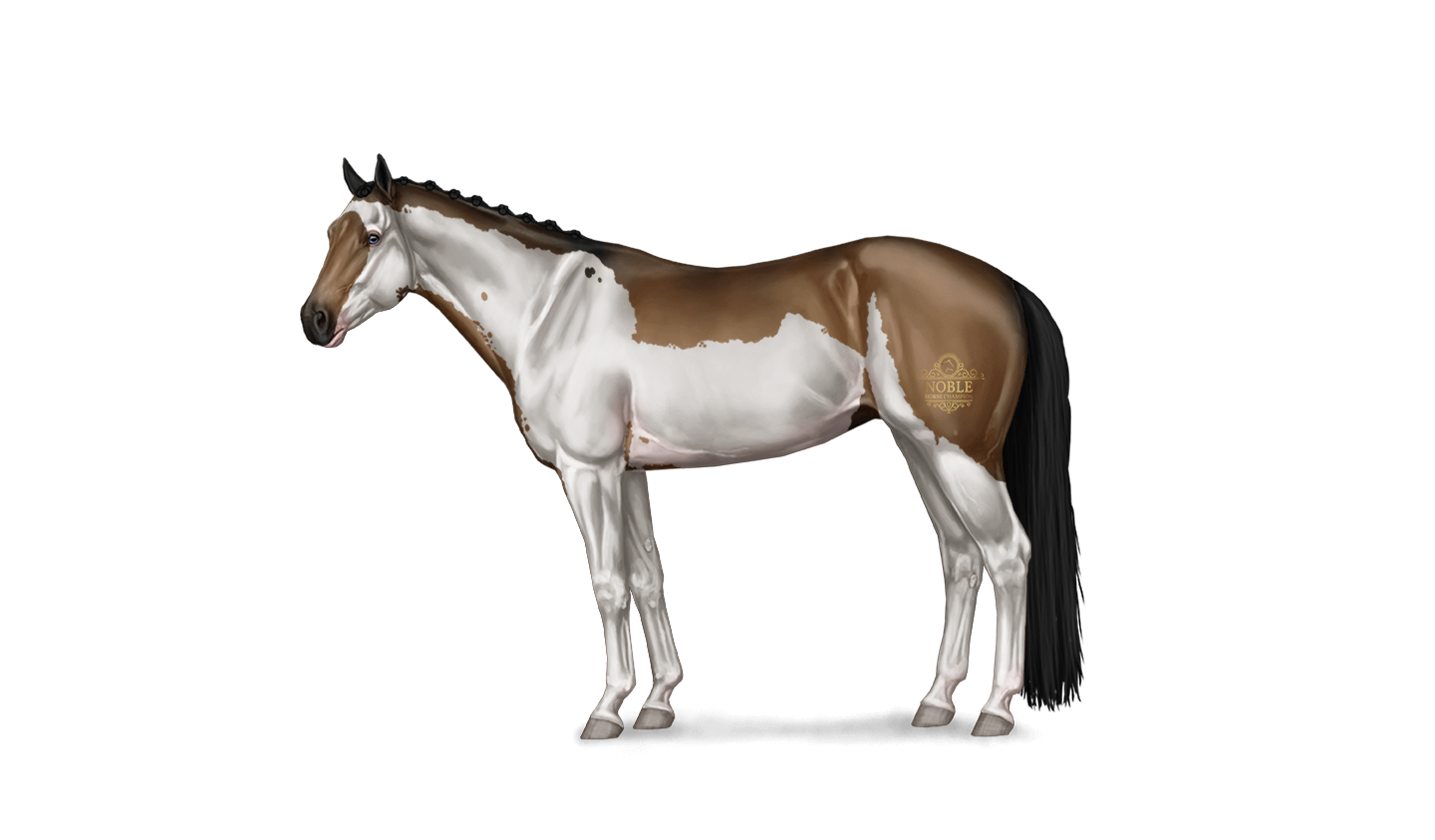 NOBLE HORSE CHAMPION